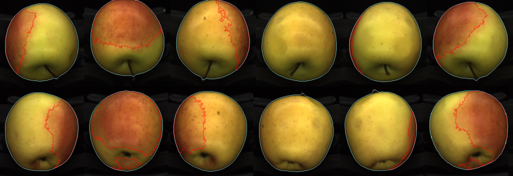 Zentron Labs | Machine Vision Solutions – Optical Fruit Grading and ...