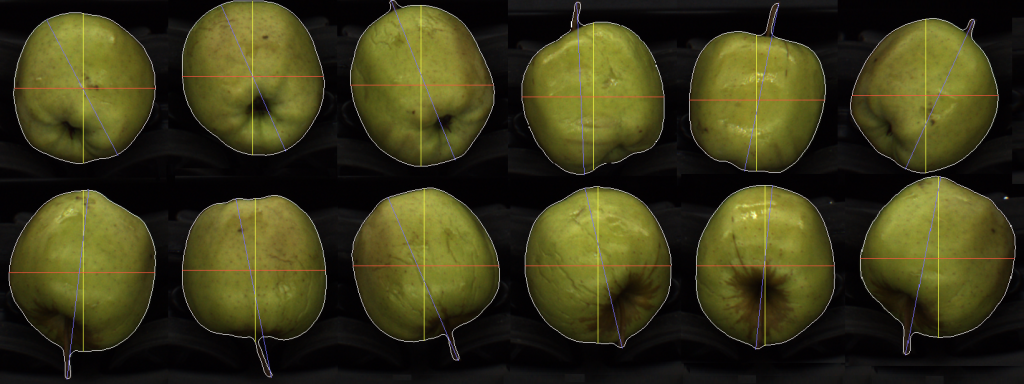 Zentron Labs | Machine Vision Solutions – Optical Fruit Grading and ...